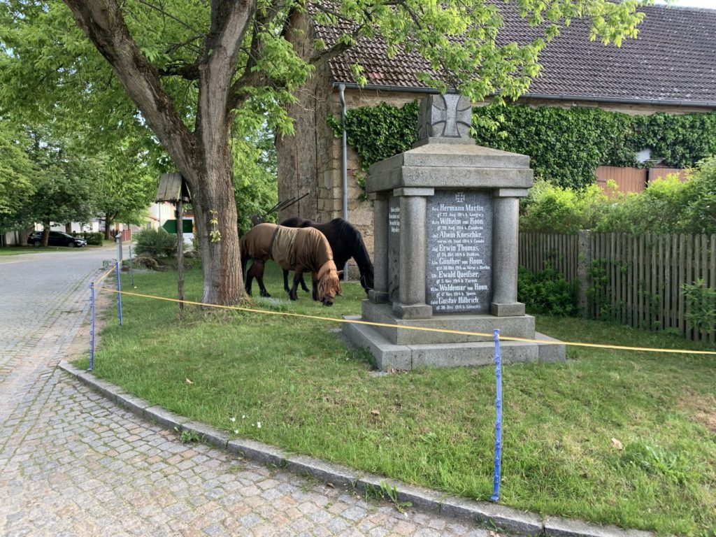 Pfingstspaziergang – Wir in Meuselwitz