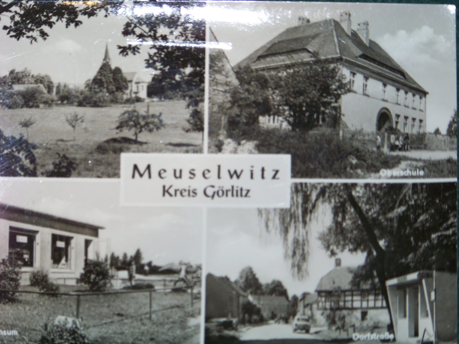 Aktuelles – Wir in Meuselwitz